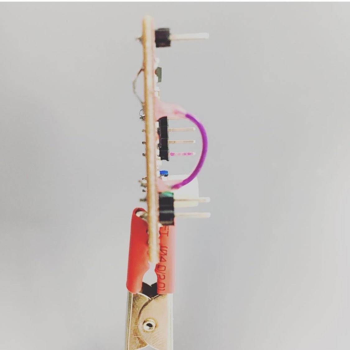 Sciences – Edith Chung